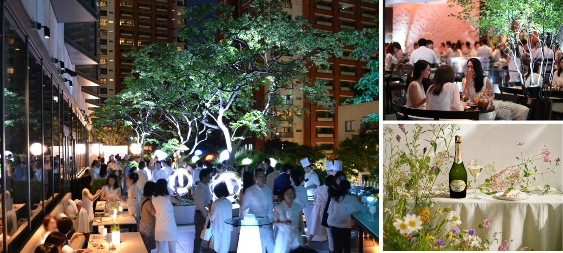 ミールセレクトに新ブランド「RF1」が登場！ | グルメプレス