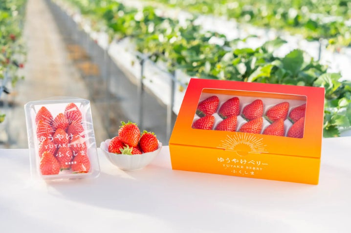 チケットは全完売！coldrain主催の音楽フェス『BLARE FEST. 2026』のチケットが当たるキャンペーンを開催！ | グルメプレス